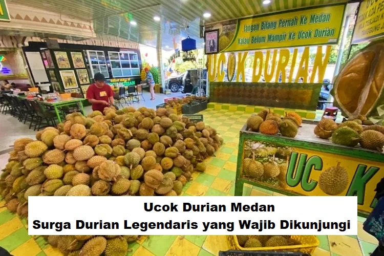 Ucok Durian Medan: Surga Durian Legendaris Wajib Dikunjungi